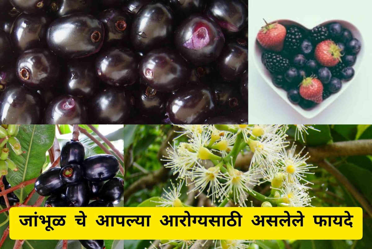 जांभूळ चे हे फायदे तुम्हला माहिती नसेल तर जाणून घ्या | Benefits of ...